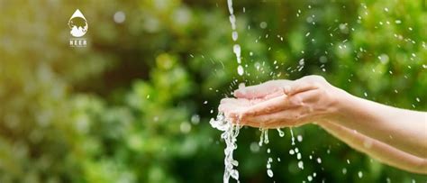 Upgwds Crusade Against Groundwater Depletion In Uttar Pradesh Neer