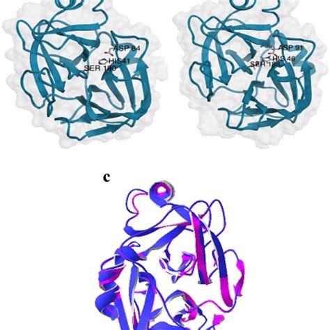 A The Overall 3d Crystal Structure Of Trypsin From Fusarium Oxysporum
