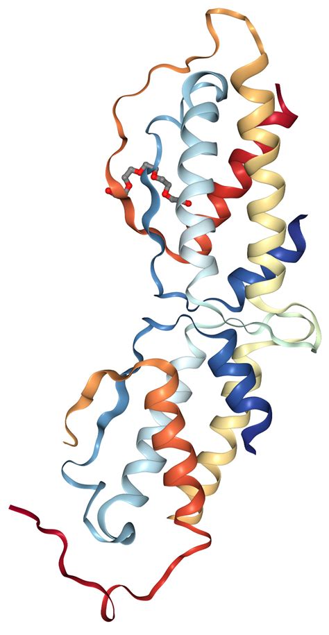 Scf Protein Overview Sino Biological