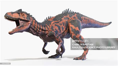 Allosaurus Illustration High Res Vector Graphic Getty Images