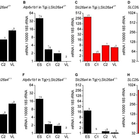 Endocochlear Potential And Ph Endocochlear Potential A And The Download Scientific Diagram