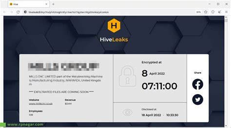 باجافزار Hive کندویی با عسل تلخ رامونا پردازش نگار