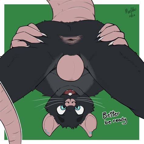 Rule 34 11 Anthro Anus Ass Balls Blue Eyes Buckteeth Dialogue Ear