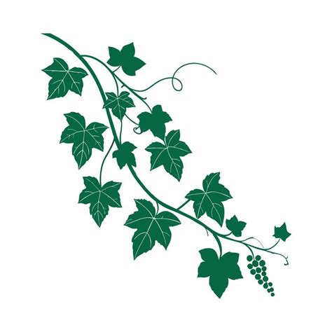 Vine Clipart Vector Art Icons And Graphics For Free Download