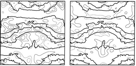 Contour Plots Of The Density ρρ 0 Thick Lines In A Y Z