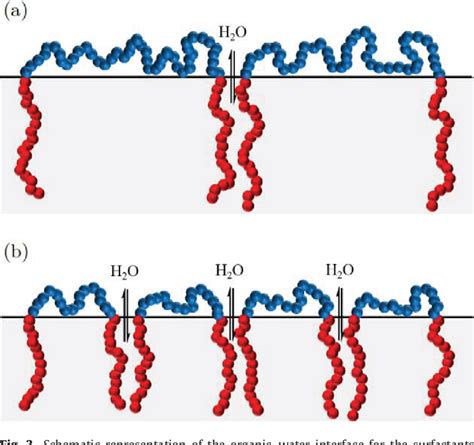 Figure 1 From Impact Of Solvents And Surfactants On The Self Assembly Of Nanostructured Amine
