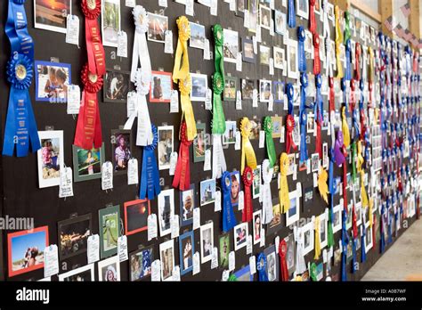 Display Contest Ideas At Iris Morris Blog