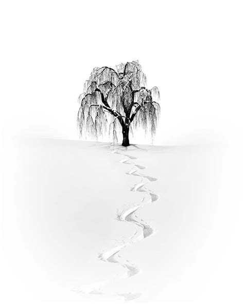 Kathrin Federers Serene Surrealism Moss And Fog