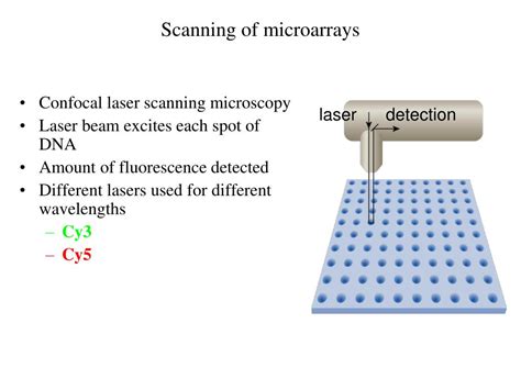 PPT Microarray Introduction PowerPoint Presentation Free Download ID 1100698
