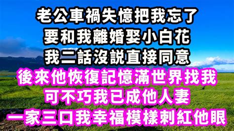 老公車禍失憶把我忘了，要和我離婚娶小白花，我二話沒説直接同意，後來他恢復記憶滿世界找我，可不巧我已成他人妻，一家三口我幸福模樣刺紅他眼追妻