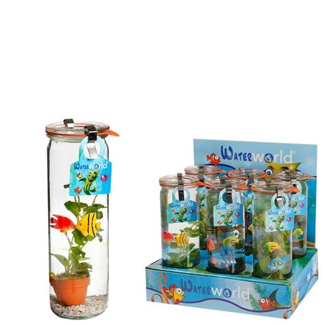 Aquatic plants MIX — Plant Wholesale FlorAccess