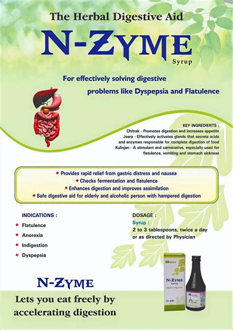 N Zyme Syrup Digestive Syrup Packaging Size 200ml 200 Ml At ₹ 120