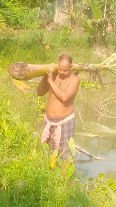 আজকে বাগানে কিছু কলা গাছ বসালাম Youtube
