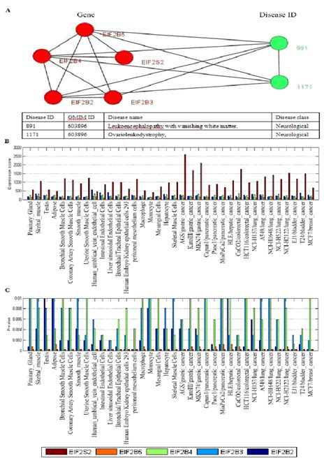 One Disease Related Cluster Consisting Of Housekeeping Genes Download Scientific Diagram