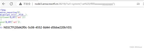 【nssctf]ctfweb题目 学习笔记 1day Please Use Wllm Browser Wp Csdn博客