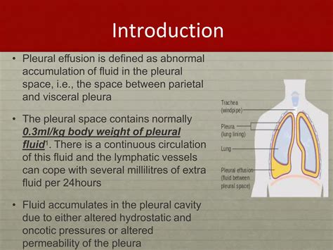 Pleural Effusion For Undergraduates Pptx