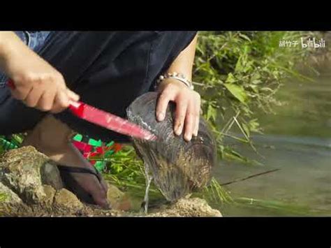 Sexy Girl Finds A Large Clam Shell In The Wild Revealing A Stunning Pearl Inside The Shell