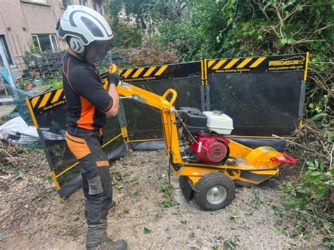 Effective Tree Stump Removal Service Trees4Scotland