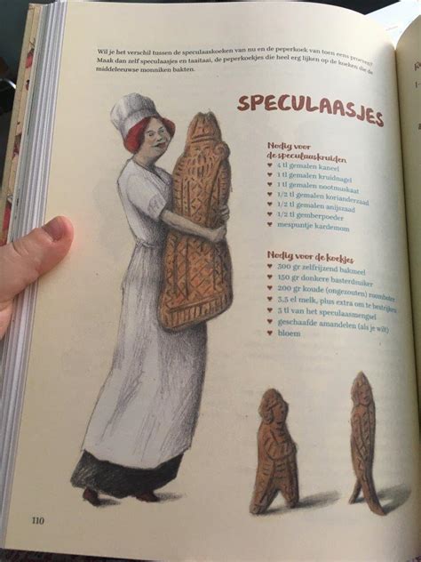 Het Geheime Boek Van Sinterklaas De Waarheid StoerLeesVoer