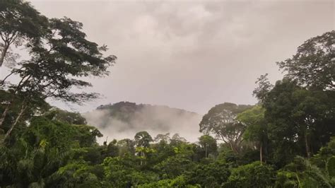 Video Samuel Jegede Posted On Linkedin