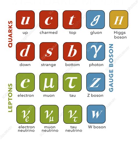 Quarks And Leptons And Bosons
