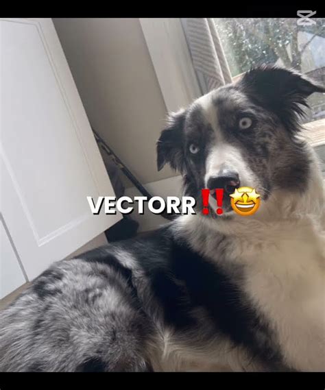 Vector Ohh Yeahh Funny Youtube