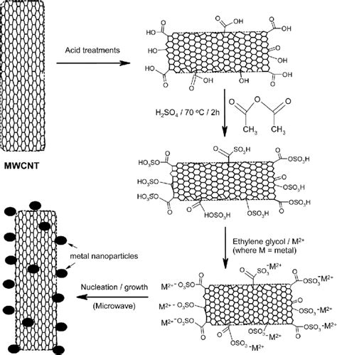 Schematic Of The Sulfonation Process For Carbon Nanotubes Using