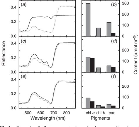 Figure From Non Destructive Measurement Of Chlorophyll B A Ratios