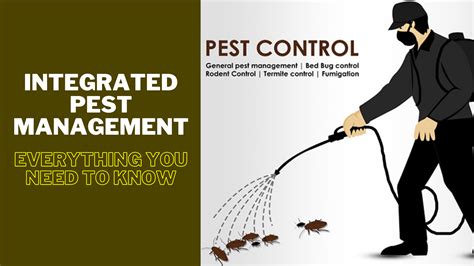 Integrated Pest Management Everything You Need To Know