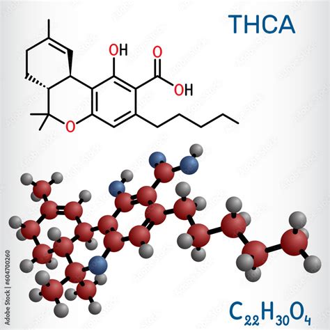 Tetrahydrocannabinolic Acid Thca Tetrahydrocannabinolate Molecule Precursor Of