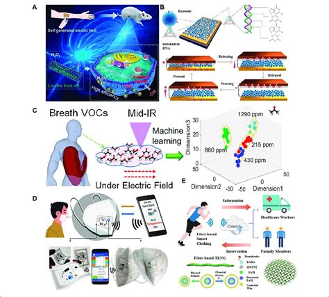 Biosensing Applications Of Ai Teng In Previous Reports A The