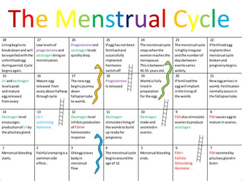 The Menstrual Cycle Game By Gerwynb Teaching Resources Tes