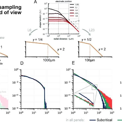 The Signal Of An Extracellular Neuronal Recording Depends On Neuronal