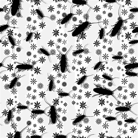 530 Cockroaches Cockroaches Vector Images Depositphotos