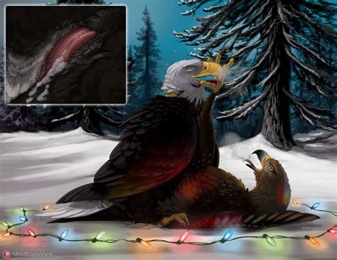 Rule 34 Accipitrid Accipitriform Aetus Character Avian Avian Feet