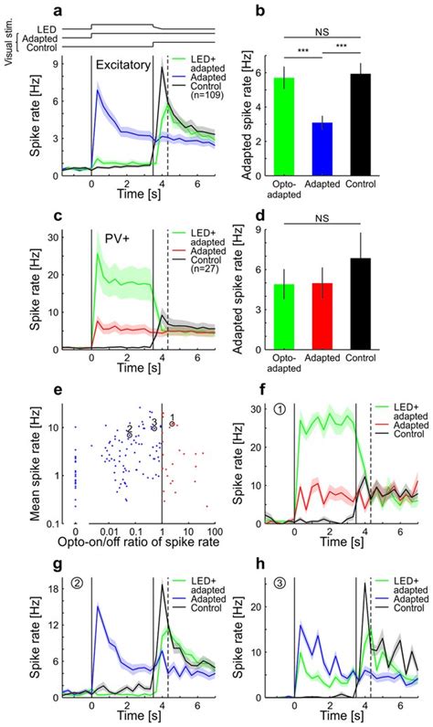 Figures And Data In Stimulus Relevance Modulates Contrast Adaptation In Visual Cortex Elife