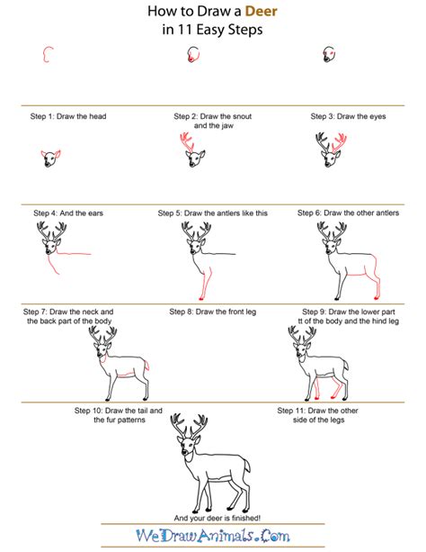 How To Draw A Deer Deer Drawing Drawing Tutorial Drawings