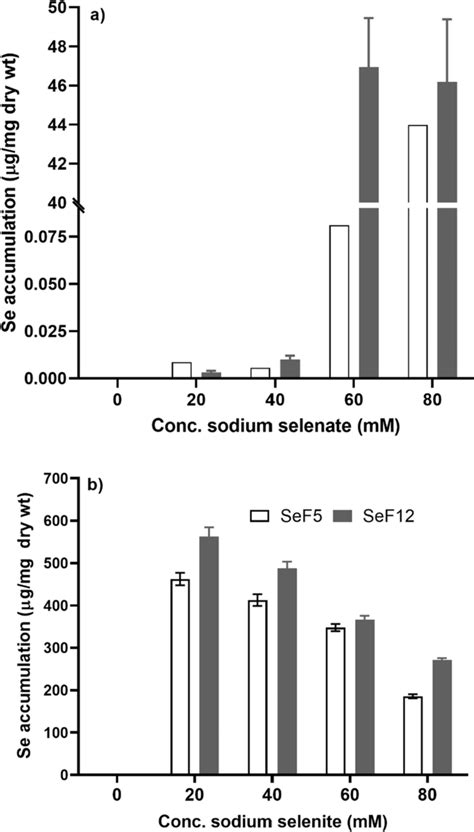 Bioaccumulation Of Selenium In The Fungal Tissues Of Sef5 And Sef12 Download Scientific Diagram