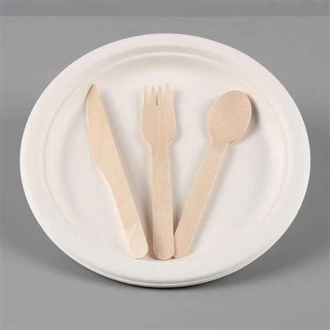 Sugarcane Bagasse Plates Hongren
