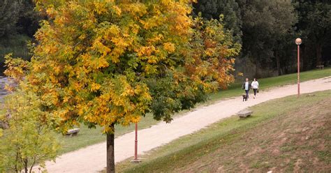 otoño 2024 traerá temperaturas superiores a lo normal en toda españa y