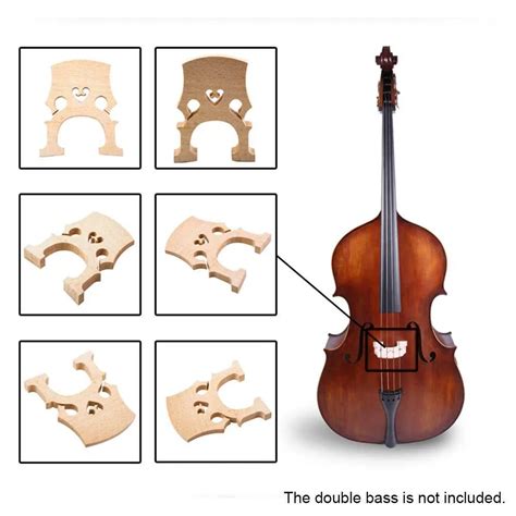 Upright Bass Parts Diagram And Components Overview