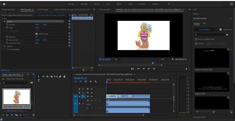 Exported Video Is Not Full Screen Adobe Product Community 11887435