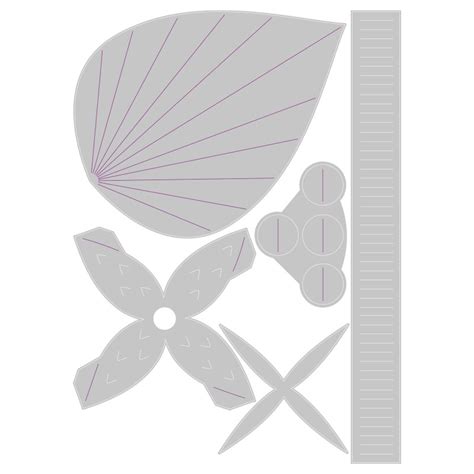 Sizzix Thinlits Die Set 5pk Ornamental Stems By Olivia Rose 2395 Chf