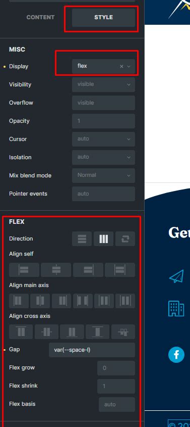 Missing Important Options In Style Tab Feature Requests