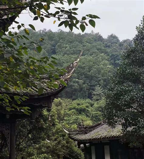 蜀地 通江论坛 麻辣社区 四川第一网络社区