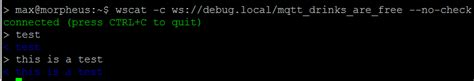 Envoy Docker And Websockets Debugging And Configuration Pi3g