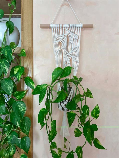 Kwietnik ścienny na ścianę makrama boho loft kolor oficjalne archiwum Allegro