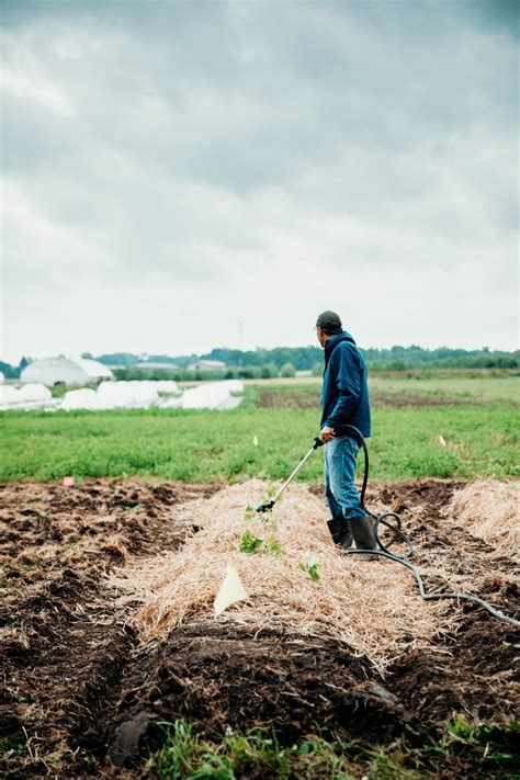 About Cornell Small Farms
