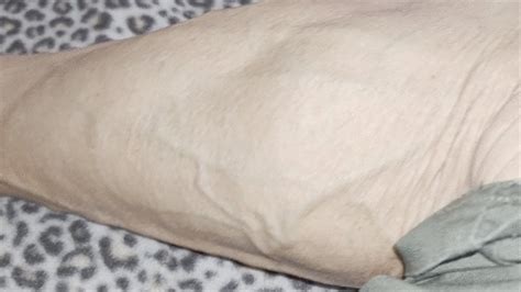 Veiny Calves Tempest Muscular Calves Clips4sale