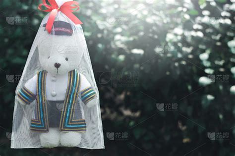 背景自然留白圣诞帽胡萝卜水平画幅雪圣诞老人